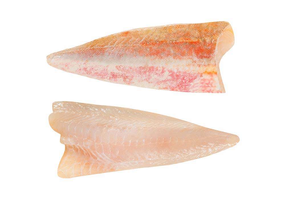 Bluefin Tails