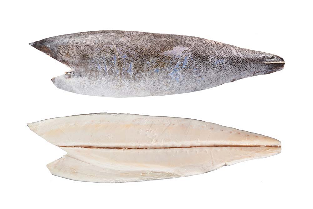 Escolar fillets | Fish Fillets | Frozen Products | Kagerer & Co. GmbH