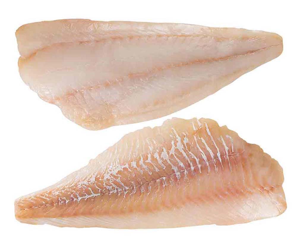 Atlantic Cod Fish Fillet