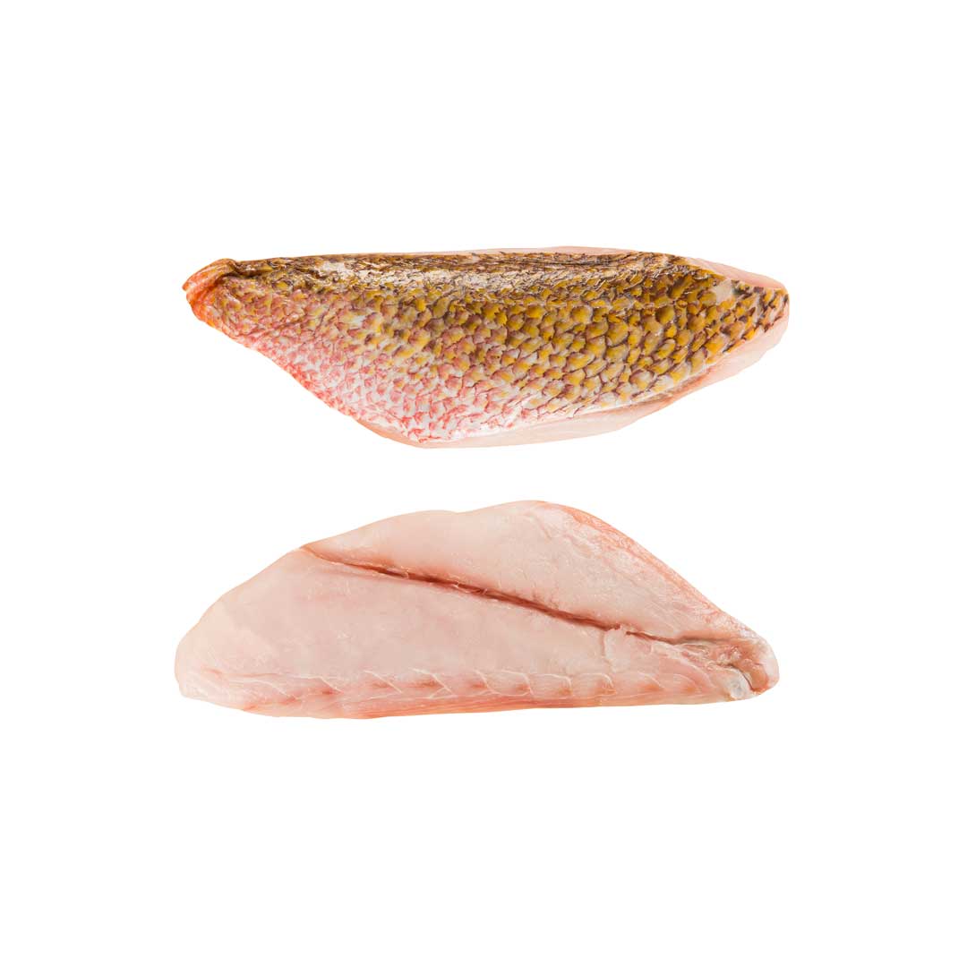 Red Snapper Filets | Fischfilets | Tiefkühlwaren | Kagerer & Co. GmbH