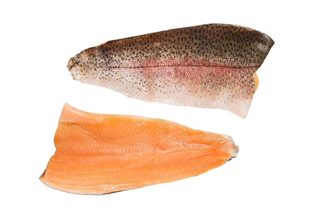 Lachsforellen Filets | Fischfilets | Tiefkühlwaren | Kagerer & Co. GmbH