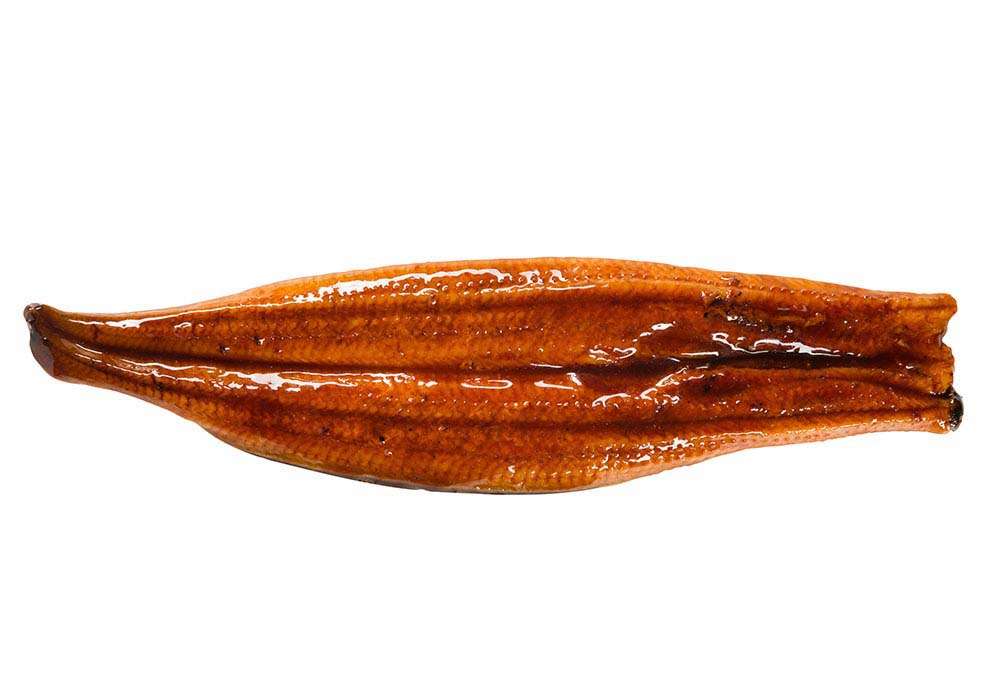 Anago Kabayaki | Fish Fillets | Frozen Products | Kagerer & Co. GmbH