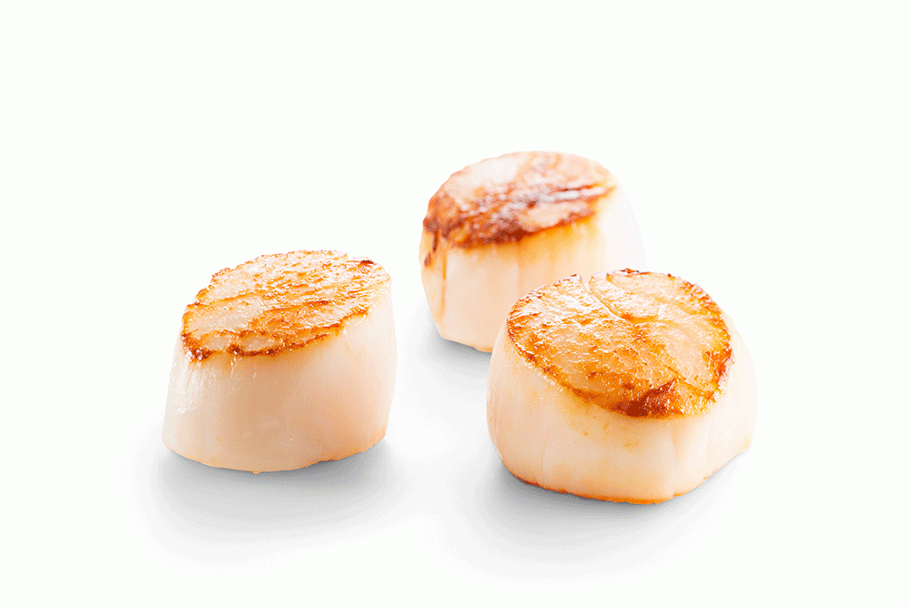 Canadian MSC Scallops Hotate U10
