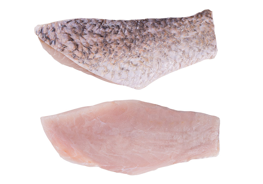 Barramundi fillet | Fish Fillets | Frozen Products | Kagerer & Co. GmbH