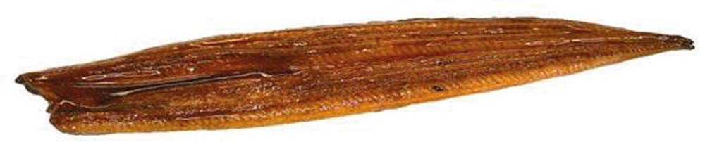 Anago Kabayaki | Fish Fillets | Frozen Products | Kagerer & Co. GmbH