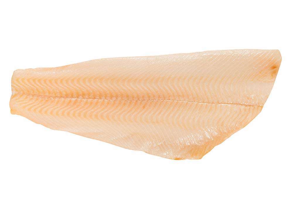 Alaska pollock fillets