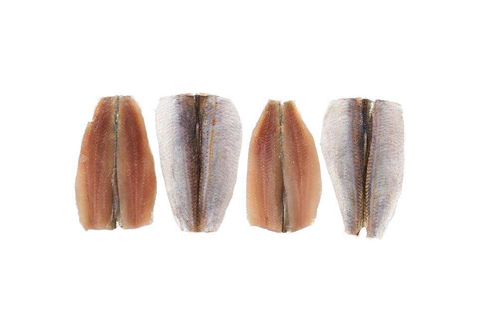 Red mullet fillet | Fish Fillets | Frozen Products | Kagerer & Co. GmbH