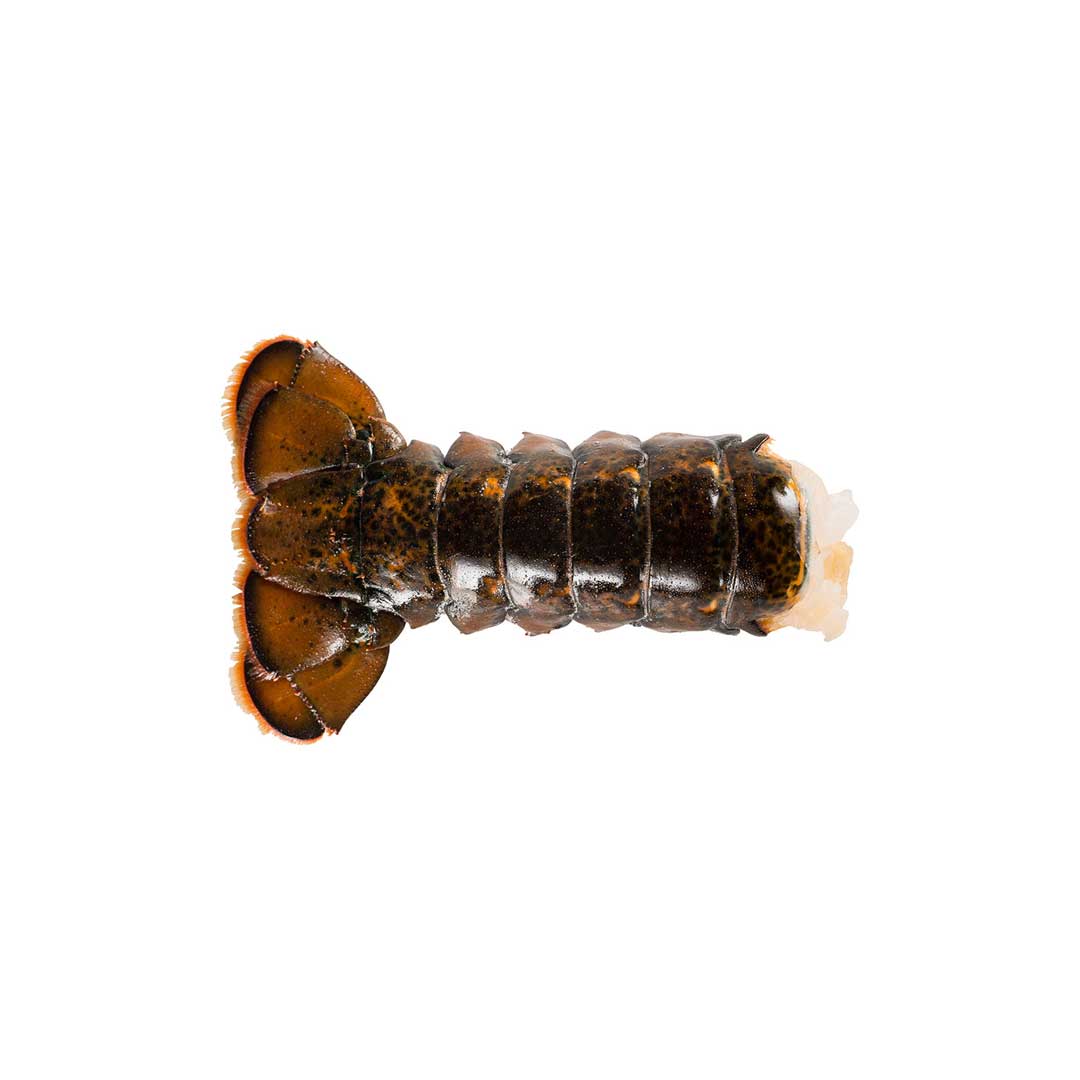 Lobster tails shell-on