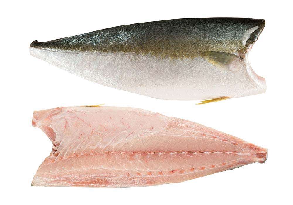 Hamachi fillet | Fish Fillets | Frozen Products | Kagerer & Co. GmbH