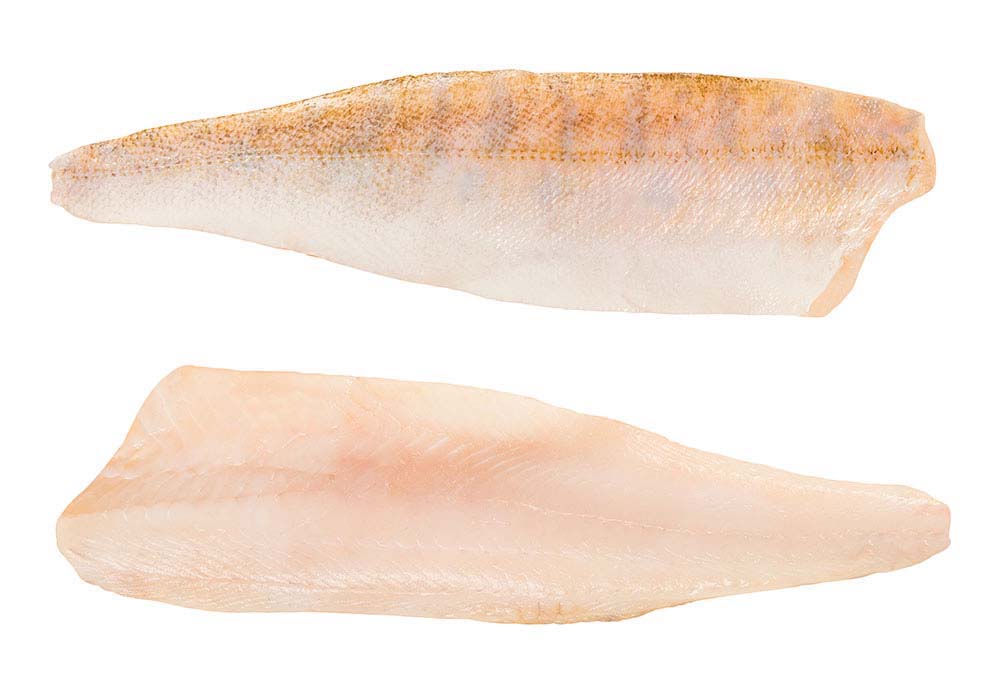 Zander fillet Europe | Fish Fillets | Frozen Products | Kagerer & Co. GmbH